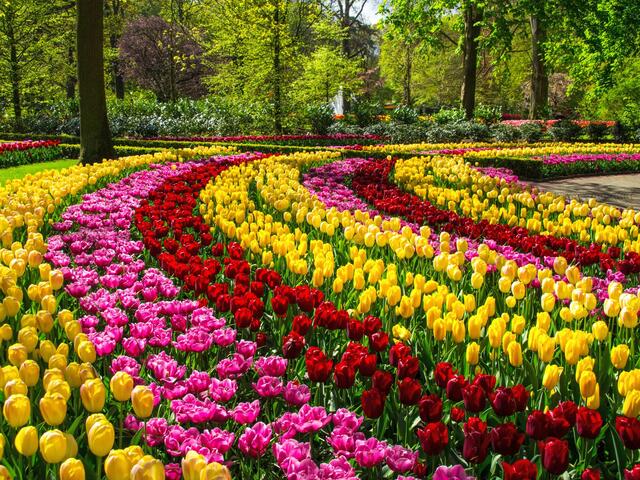 Tripsmiths | Travel experts in exclusive expert-led tours