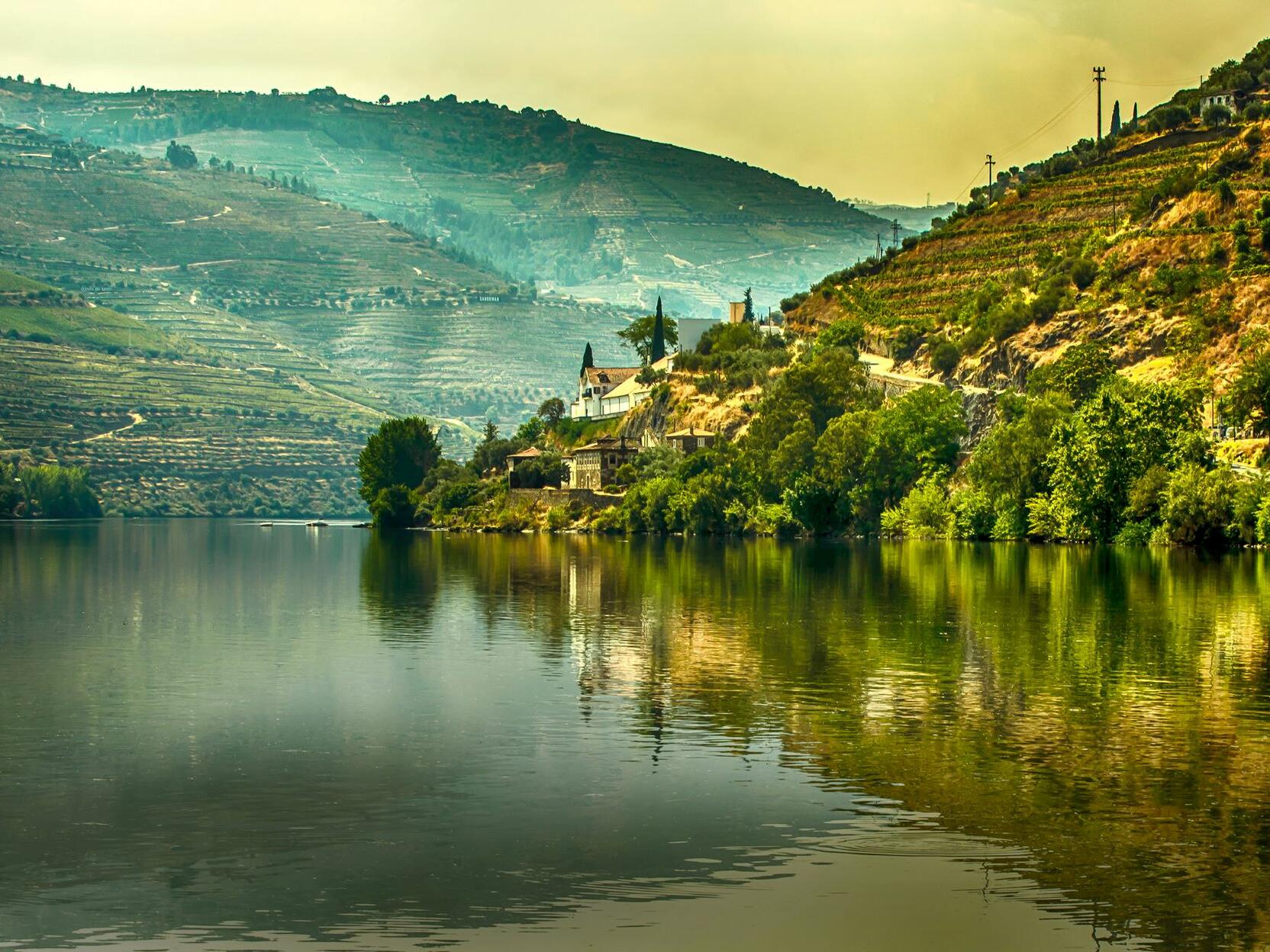 Taste wines along the beautiful Douro River