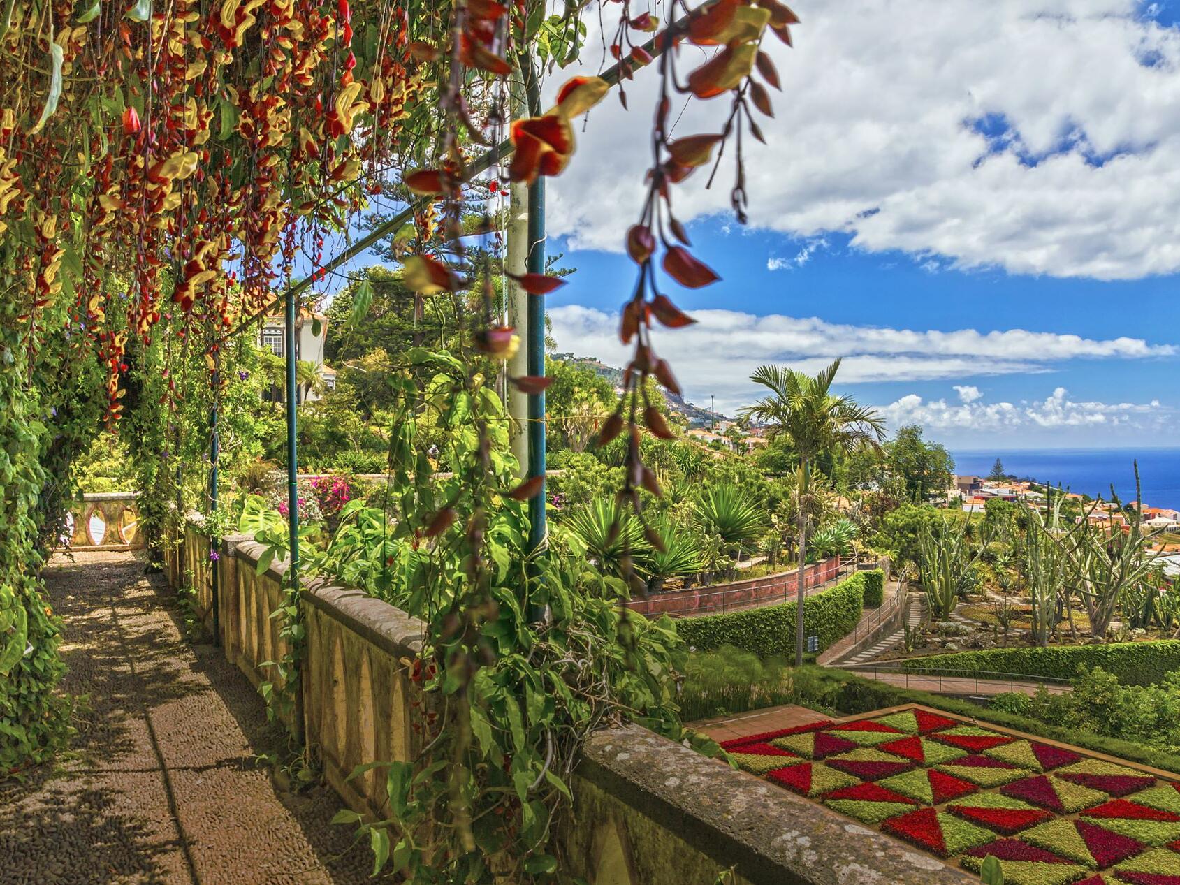 Visit Madeira’s spectacular Flower Festival