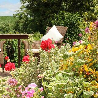 Yalbury Cottage – Dorset | Hotel Review