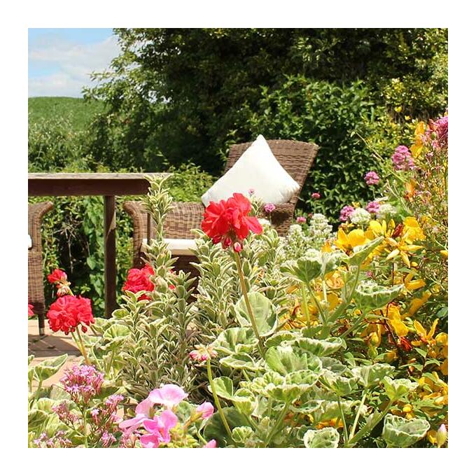 Yalbury Cottage – Dorset | Hotel Review