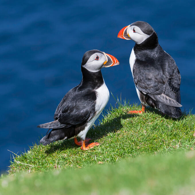 Discover the Isles of Scilly and hear from Julian Branscombe